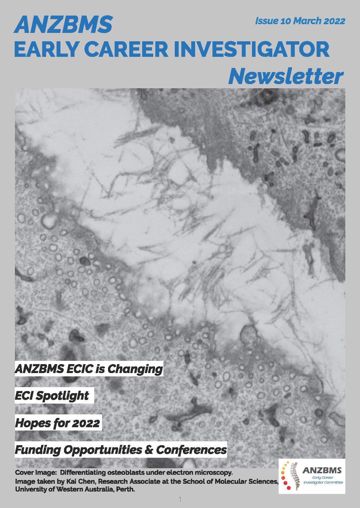 ANZBMS - Newsletter